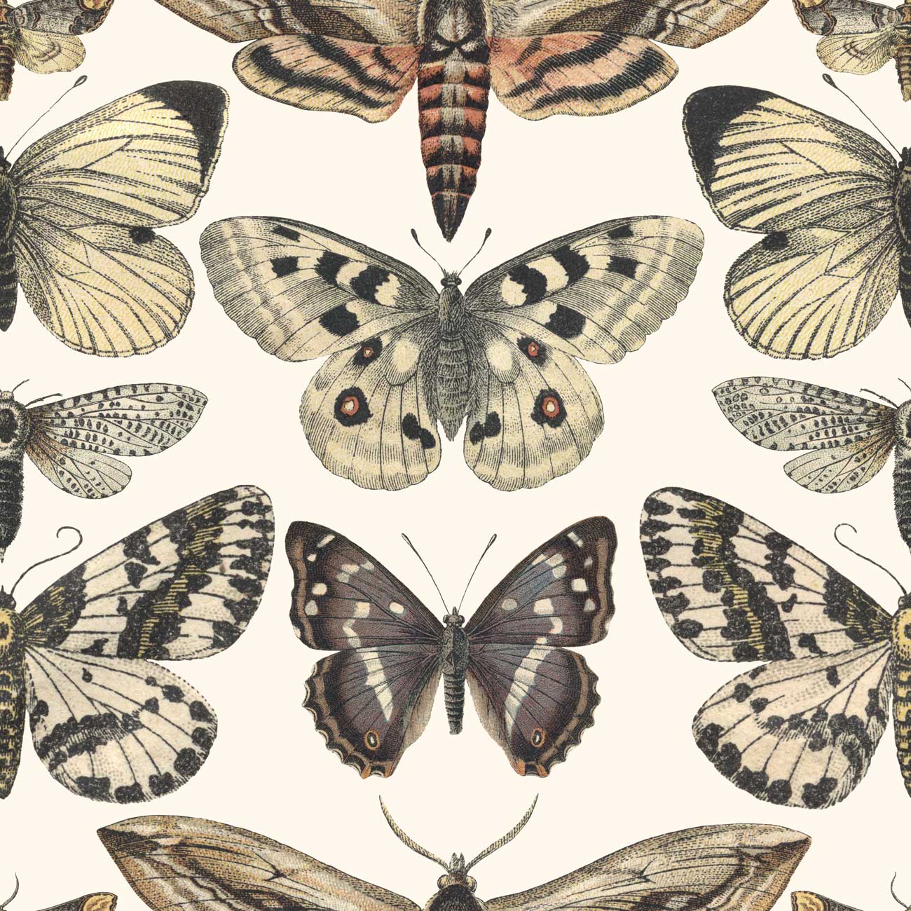 Vintage Butterfly | Animal pattern wallpaper – DeccoPrint